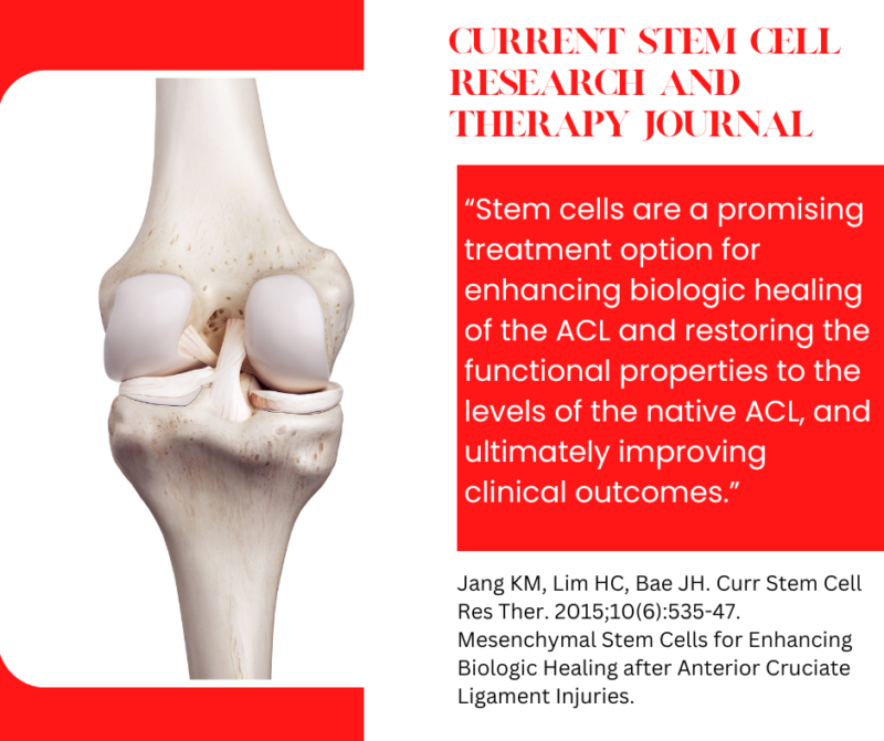 ACL treatment option