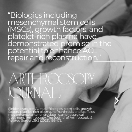 ACL treatment option